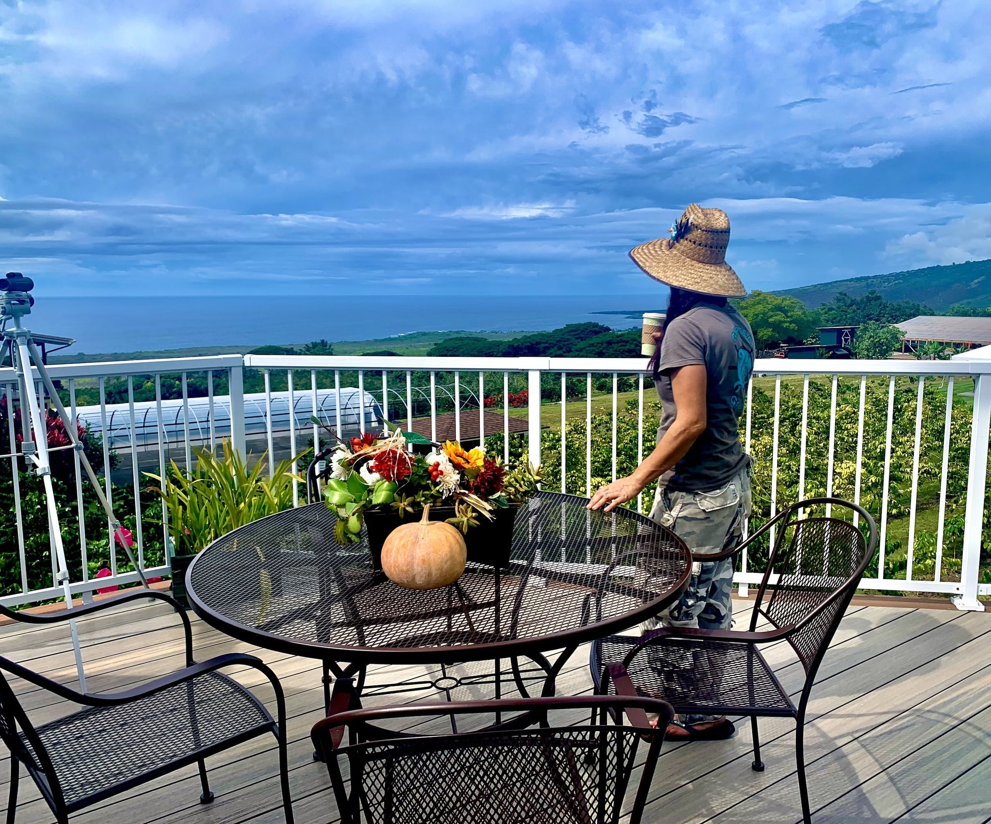 Bay View Farm Kona Coffee Big Island Hawaii – Bay View Farm Coffee